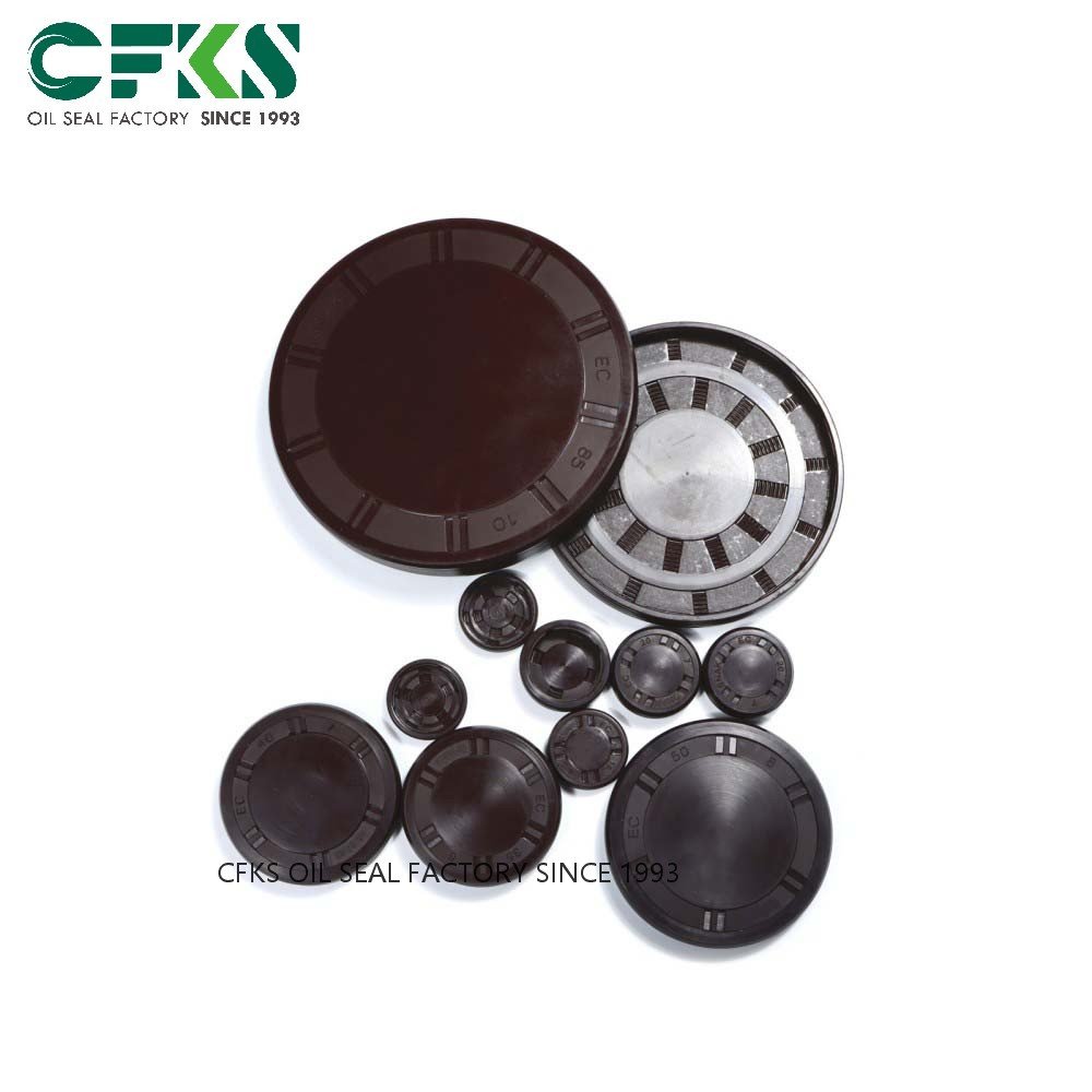 End Cap Seal – CFKS SEALS